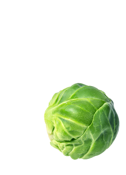 Cultivation & product range | Combilo